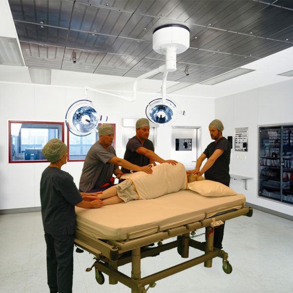 Proturn: A New System for Moving Surgical Patients From Supine to Prone ...