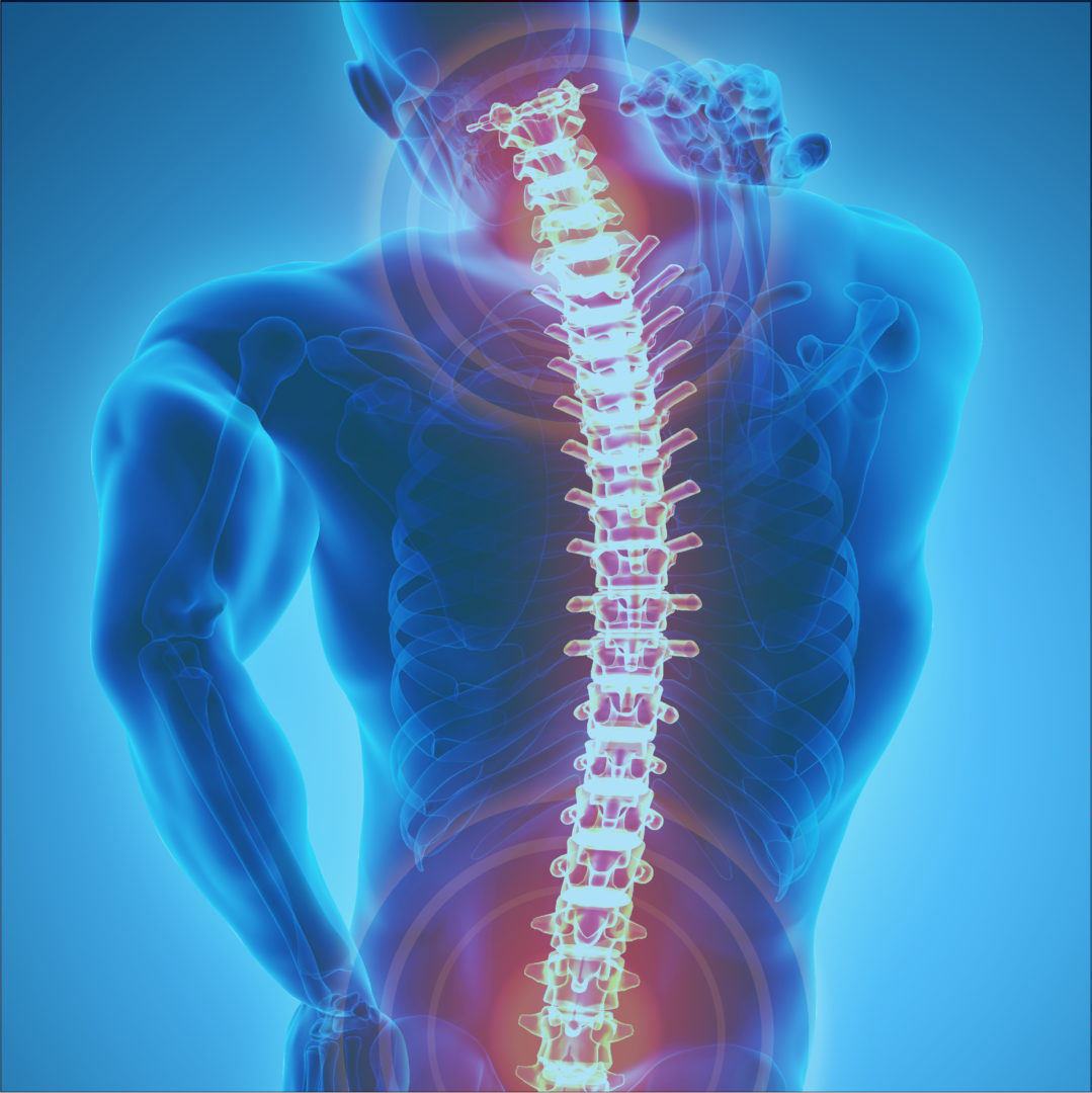 Back Care/Patient Handling Archives | Hospital Direct