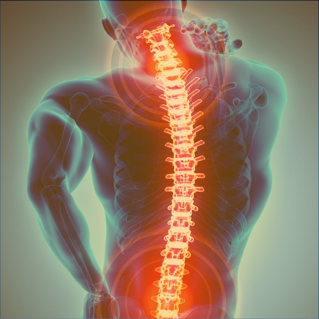 Back Care/Patient Handling Archives | Hospital Direct